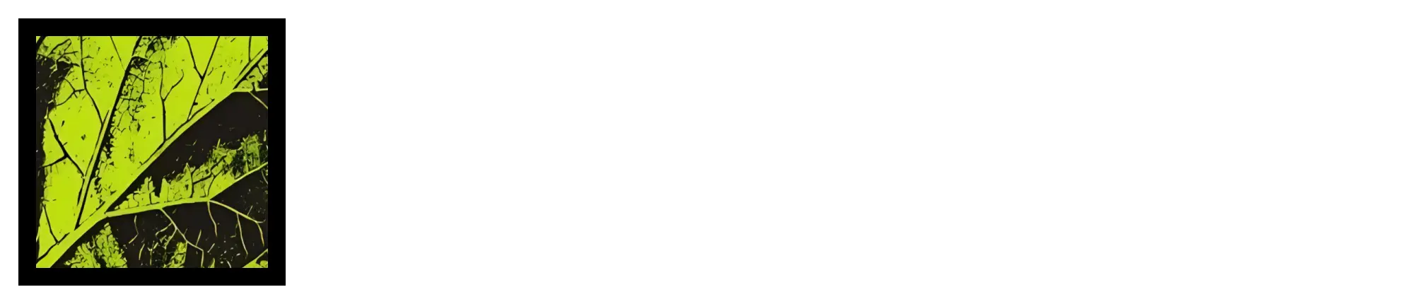 Lemon Technologies – Cutting-edge Tech for Your Business